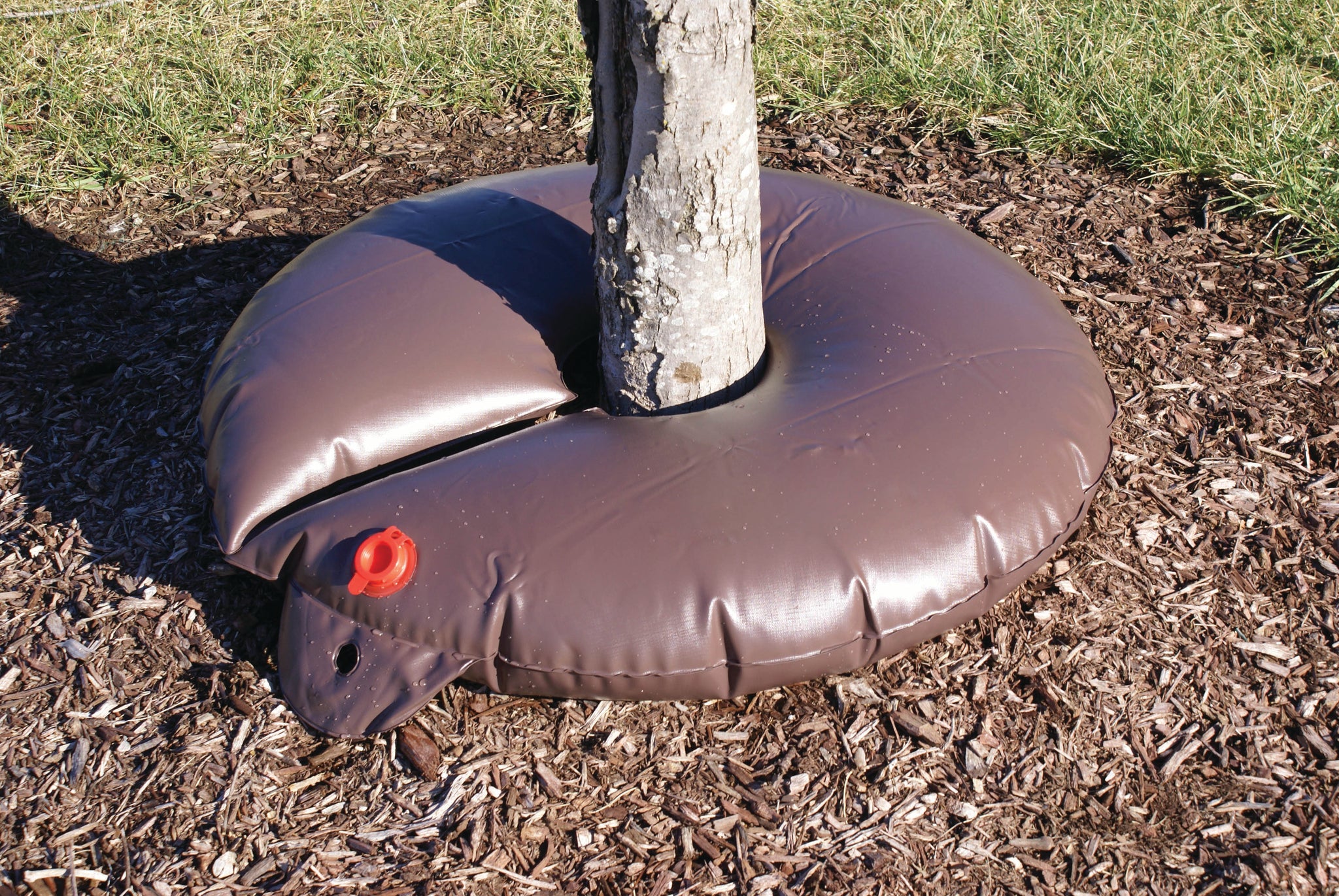 Garden Armor 15 Gallon Slow-Release Tree Watering Ring – MySupplyShed.com